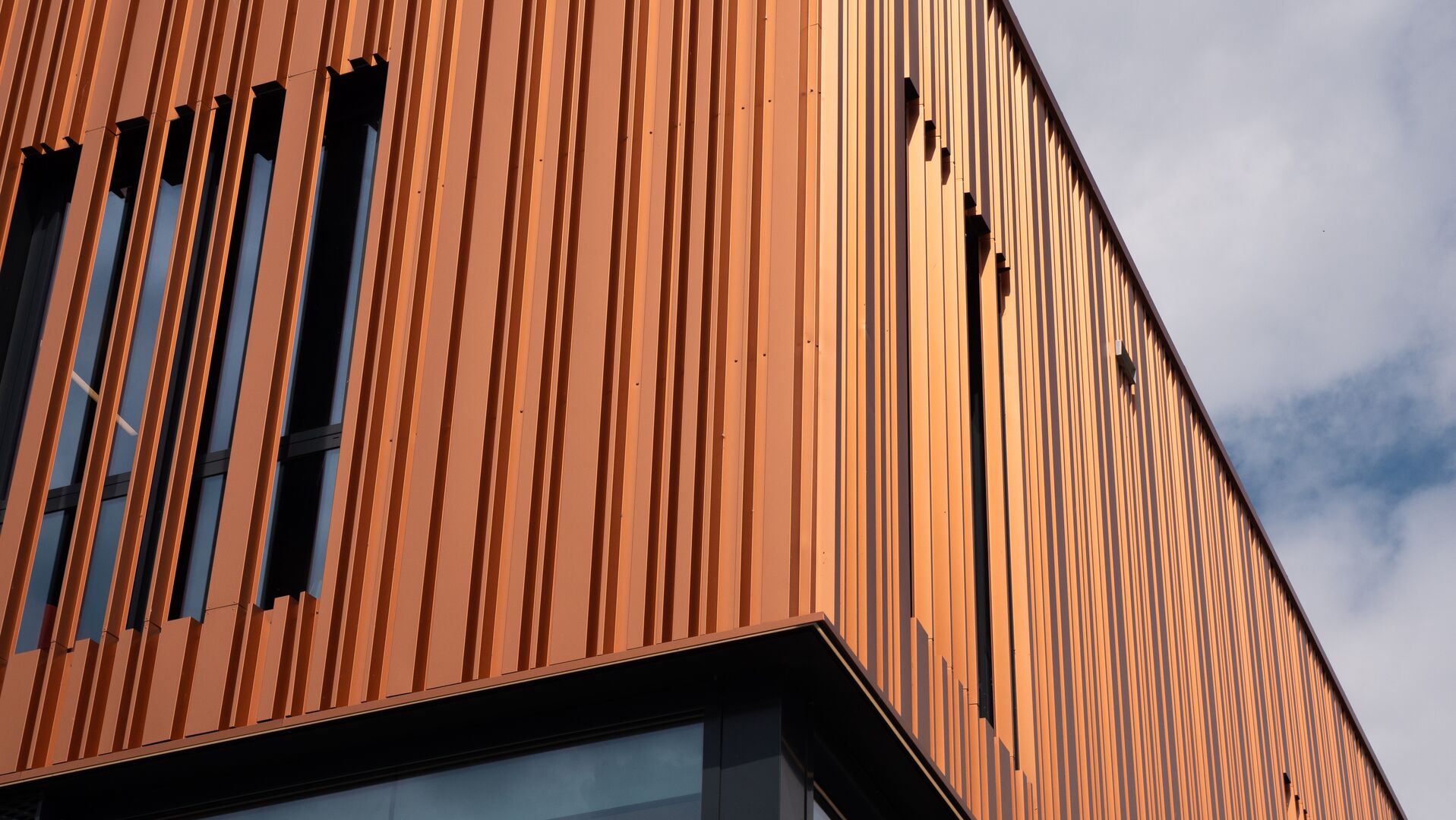 Exploring the Durability and Versatility of Coated Steel Products: A ...